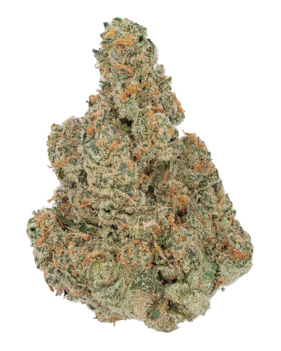 Blue Dream High THCa Hemp Flower - Piedmont Green Dispensary