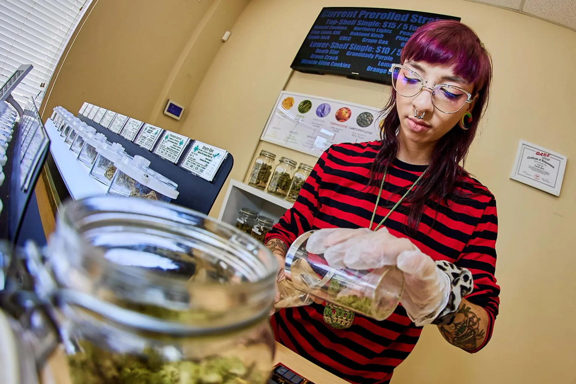 Lab Testing (COAs) - Piedmont Green Dispensary